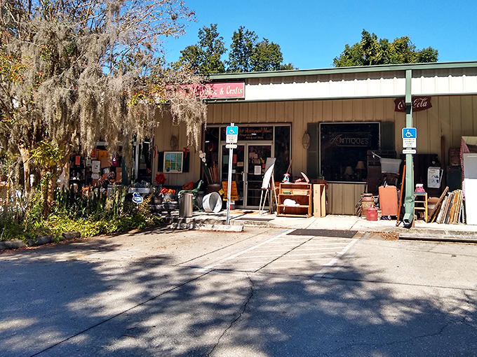 The unassuming exterior of Sugar Bear Antiques hides a wonderland of treasures beneath Florida's iconic Spanish moss. Like finding a secret passage in your childhood home!