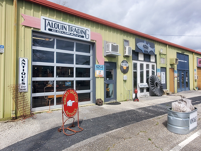 The unassuming yellow exterior of Talquin Trading Co. is like a book with a plain cover hiding the most fascinating story inside.