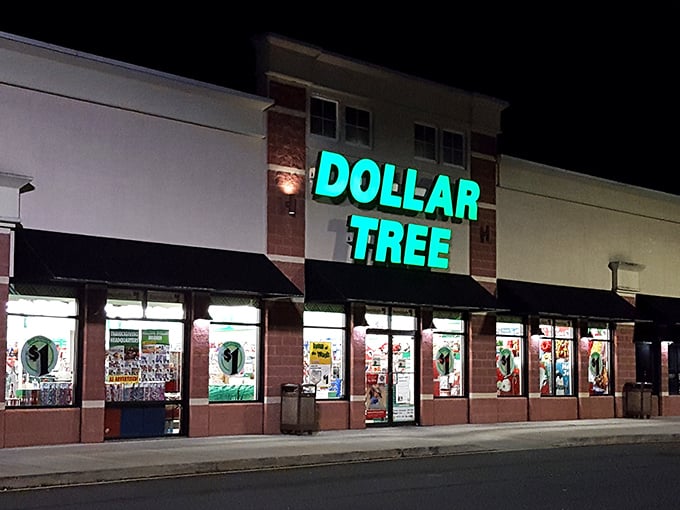 The iconic teal glow of Dollar Tree's sign beckons like a budget-friendly lighthouse, guiding thrifty shoppers to safe harbor in Millsboro.
