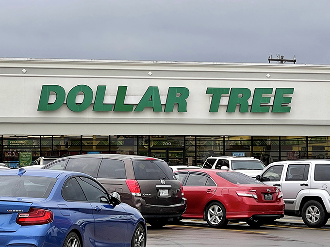 The iconic green Dollar Tree sign beckons bargain hunters like a beacon of hope in a sea of retail inflation.