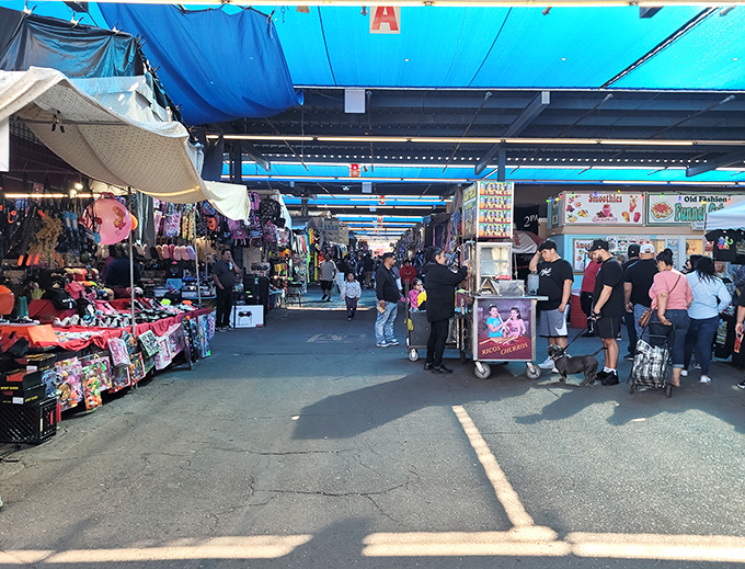 Blue tarps create a desert bazaar oasis where treasures await under Arizona skies. The thrill of discovery pulls you deeper with each step.