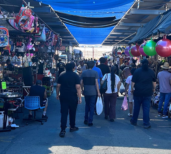 Blue tarps create a desert oasis of shade as shoppers navigate this treasure-filled labyrinth. The hunt is half the fun!