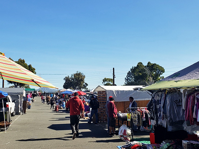 The weekend treasure hunt begins! Rows of colorful stalls stretch into the distance under perfect San Diego skies, promising discoveries at every turn.