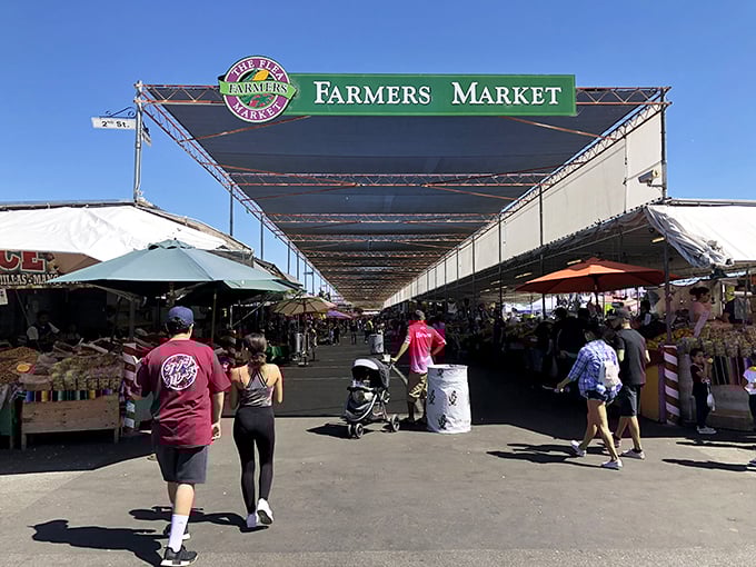 Welcome to bargain paradise! The San Jose Flea Market's covered walkways stretch seemingly to infinity, promising treasures at every turn.