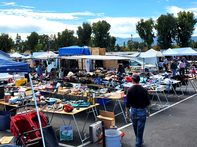 The sprawling San Jose Capitol Flea Market is where Silicon Valley's tech wizards and treasure hunters converge to find analog joys in a digital world.