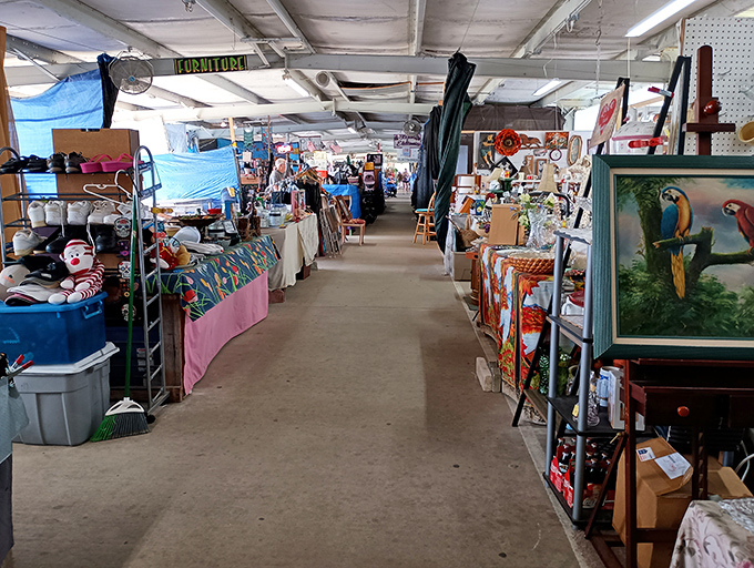 Wide aisles and endless possibilities stretch before you like a treasure hunter's yellow brick road.