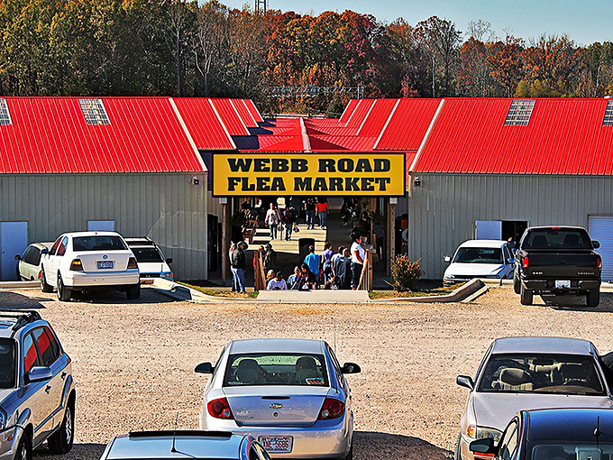 The iconic red roofs of Webb Road Flea Market stand out against Carolina's autumn foliage like a beacon calling all treasure hunters to their weekend adventure.