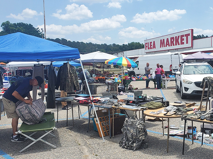 The treasure hunter's paradise unfolds under metal canopies, where one person's castoffs become another's prized discoveries. Weekend retail therapy at its finest!
