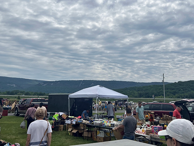 Treasure hunters browse vintage beer mirrors outside Rocky's, where yesterday's bar decorations become today's conversation pieces. The thrill of the hunt is palpable!
