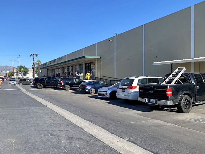 The unassuming exterior hides a treasure trove within. Like finding a speakeasy, half the fun is knowing what awaits behind those plain walls.