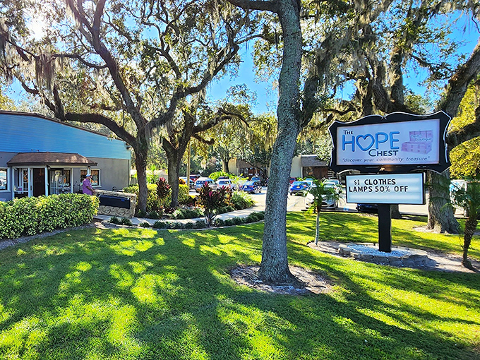 Sunshine dapples through Spanish moss onto The HOPE Chest's inviting entrance. Like finding a $20 bill in last year's winter coat&mdash;unexpected joy awaits inside.