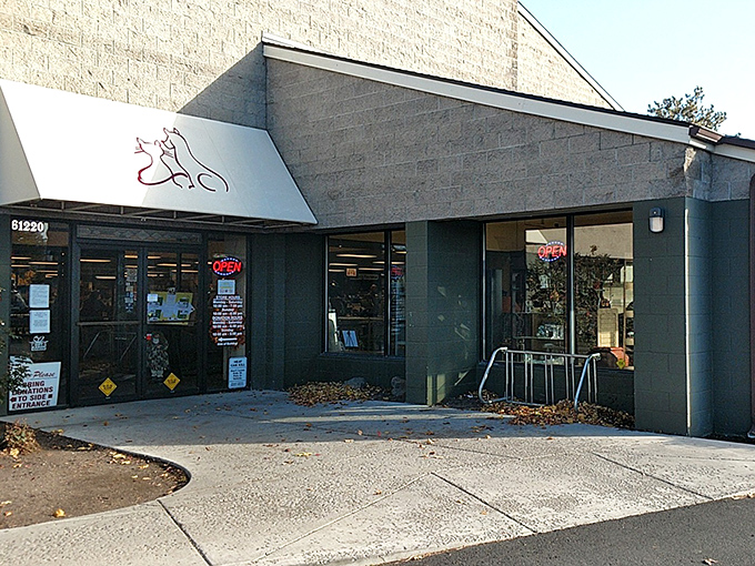 The unassuming exterior hides treasures that would make any bargain hunter's heart sing with joy.