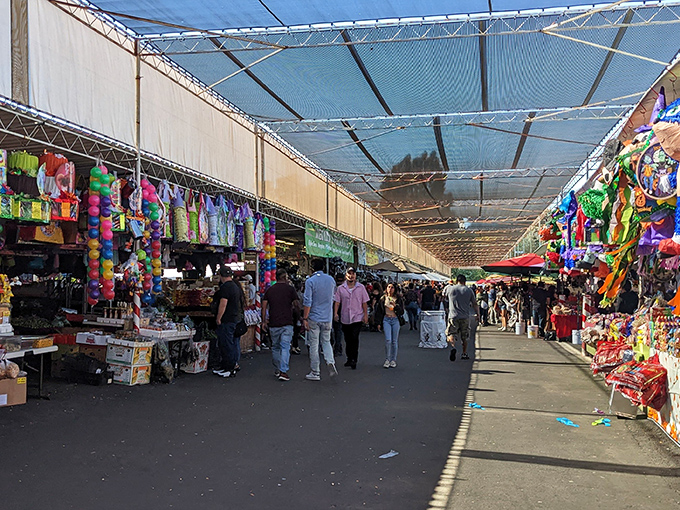 The bustling main corridor of the San Jose Flea Market stretches like a retail Milky Way, with colorful merchandise galaxies on either side beckoning explorers.