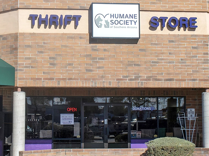 The brick-and-mortar embodiment of guilt-free retail therapy, where every purchase helps a furry friend find their forever home.