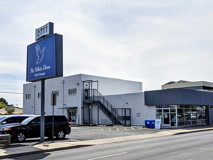 The iconic blue sign beckons bargain hunters like a retail lighthouse, promising treasures within that won't break the bank.