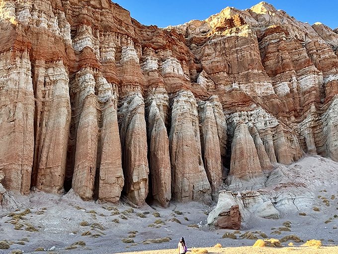 A perfect California campsite: blue tent, picnic table, and nature's most spectacular backdrop. Mars-like formations meet Joshua trees at sunset.