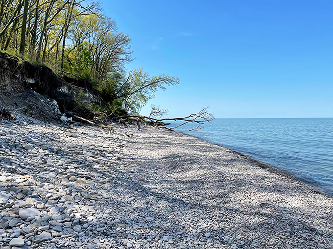 Lake Erie stretches endlessly beyond this peaceful shoreline, where time moves at the perfect vacation pace.