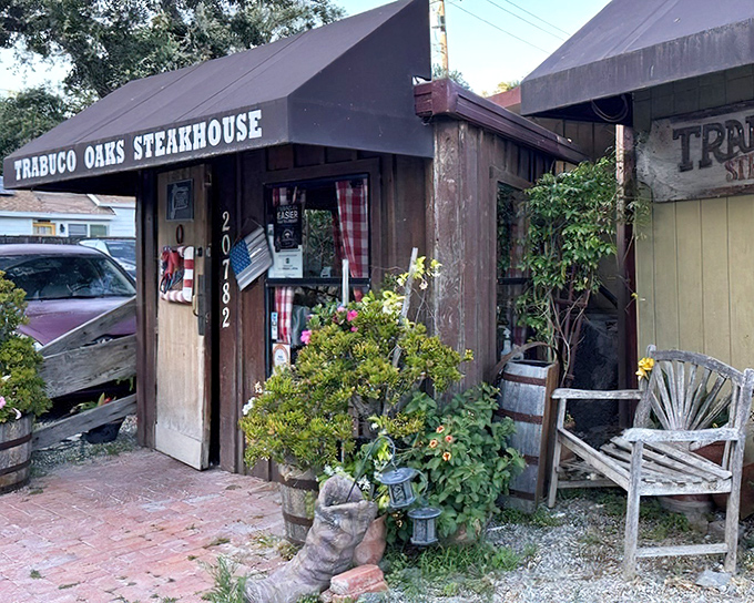 The unassuming wooden entrance belies the carnivorous paradise within. Like finding a treasure chest disguised as a garden shed.