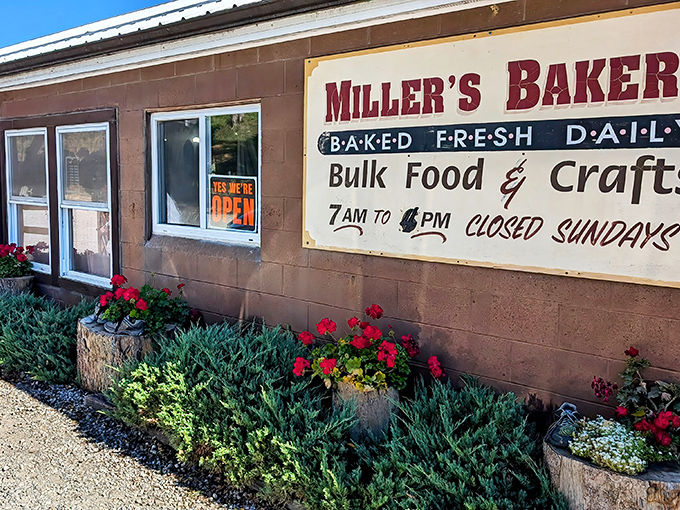 The unassuming exterior of Miller's Bakery belies the treasures within. Like finding a Michelin-starred restaurant in a gas station, this place proves appearances can be deliciously deceiving.