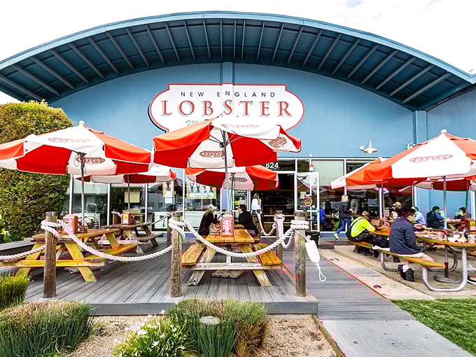 The bright blue facade with those cherry-red umbrellas is like a coastal siren song, beckoning seafood lovers to drop anchor and feast.