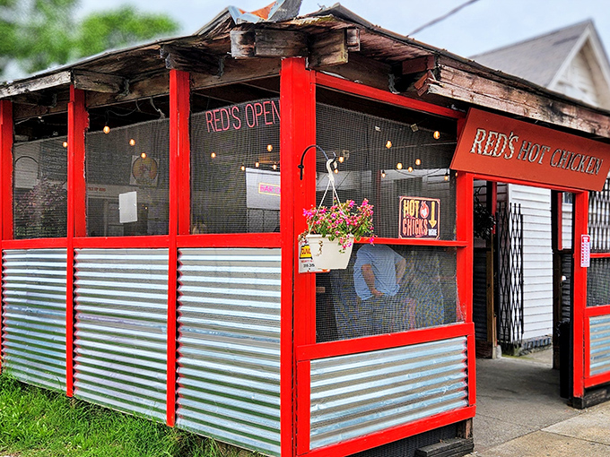 The unassuming exterior of Red's Hot Chicken proves once again that culinary treasures often hide behind the simplest facades. That order window has seen countless Nashville heat seekers.