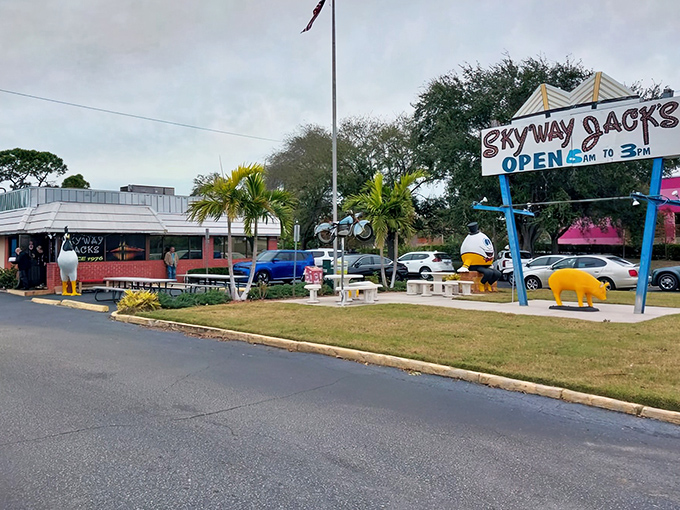 Those iconic yellow pig statues aren't just decoration&mdash;they're sentinels guarding the gateway to breakfast paradise at Skyway Jack's in St. Petersburg.