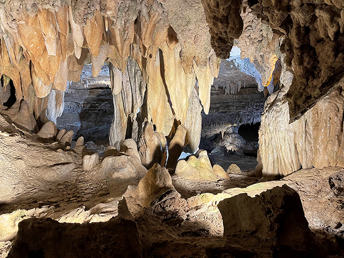Behold nature's chandelier collection! These golden-hued stalactites dangle from the ceiling like prehistoric icicles while visitors enjoy the ride-through cave tour below. 