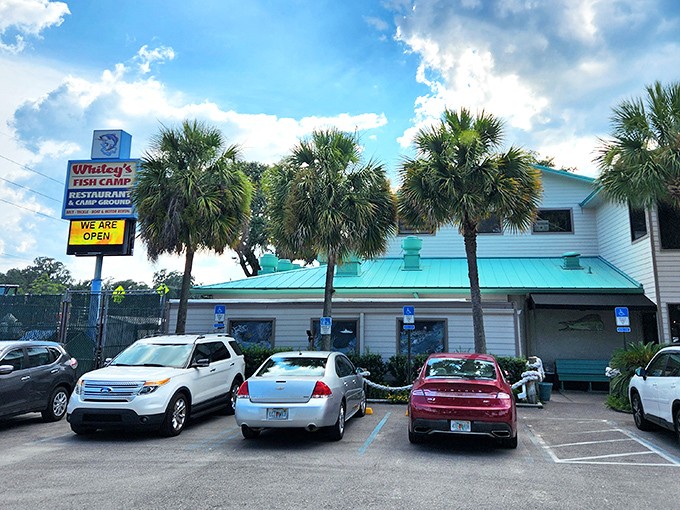 The unassuming exterior of Whitey's Fish Camp stands like a beacon for hungry travelers, palm trees swaying in welcome. 
