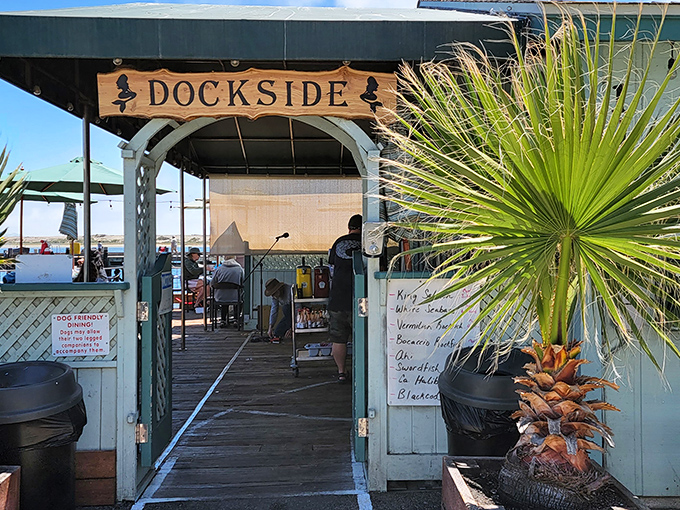Welcome to seafood paradise! Dockside's unassuming blue exterior might not scream "culinary destination," but locals know this harborside spot hides treasures fresher than morning tide.