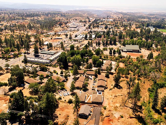 An aerial view that tells the story of resilience. Paradise stretches across the Sierra foothills like nature's quilt, pine trees standing guard over rebuilding neighborhoods.