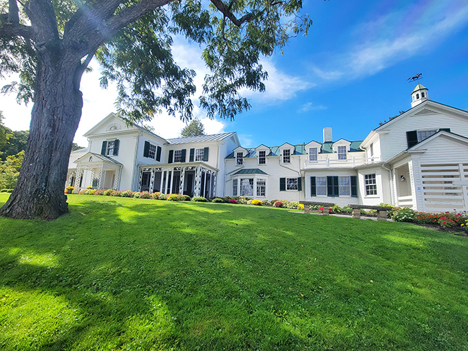 The rustic log cabin nestled among towering trees looks like it jumped straight out of a Thoreau daydream. Nature's five-star accommodations!