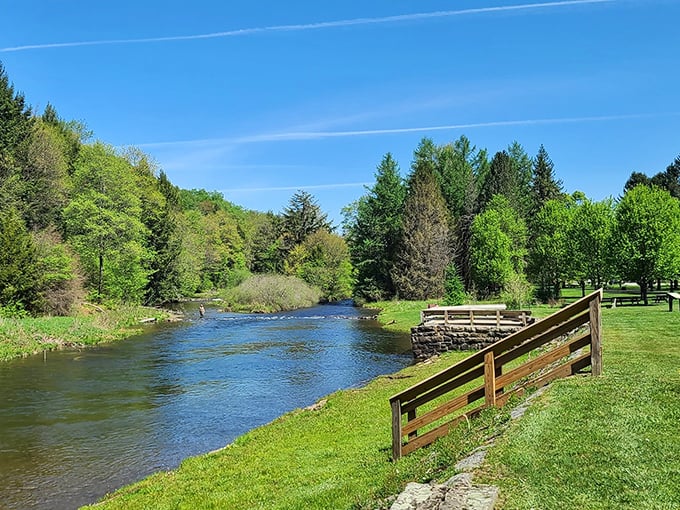 Fall's fiery display at Bendigo creates nature's perfect postcard. Those picnic tables aren't just sitting there – they're waiting for your sandwich masterpiece.