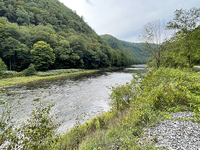 Pine Creek winds through the Pennsylvania Grand Canyon like nature's own lazy river, offering a front-row seat to the state's most spectacular geological show.