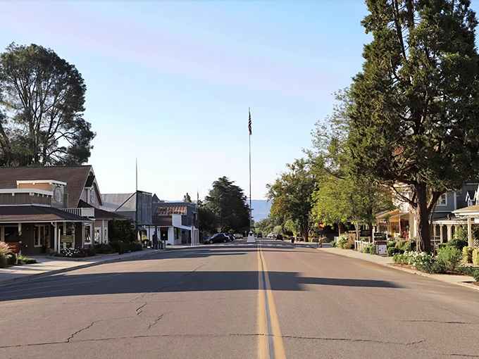 Palm trees and white Victorian buildings frame Los Olivos' main street, where time seems to move at the pace of a leisurely afternoon stroll.