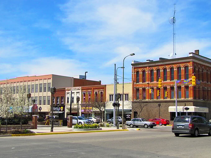 Owosso's historic downtown looks like it was plucked from a Norman Rockwell painting, complete with classic storefronts that have witnessed generations of Michigan life.