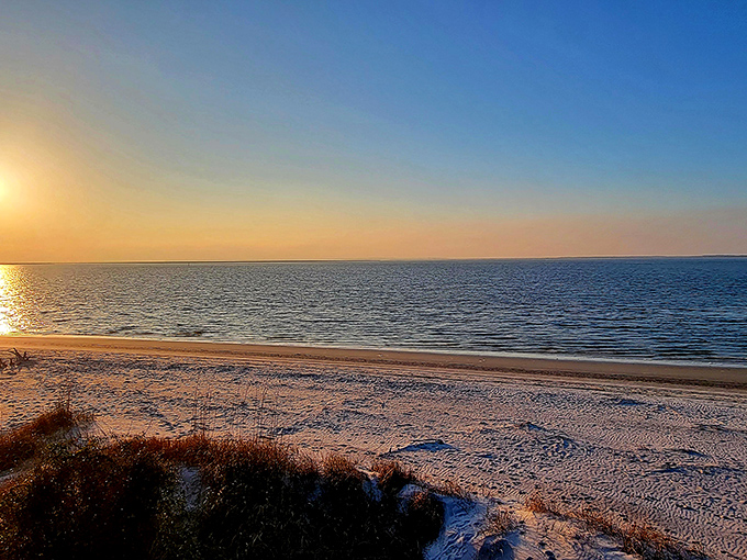 Golden hour transforms St. Andrew's Beach into nature's masterpiece. The weathered driftwood stands sentinel as gentle waves kiss the shore.