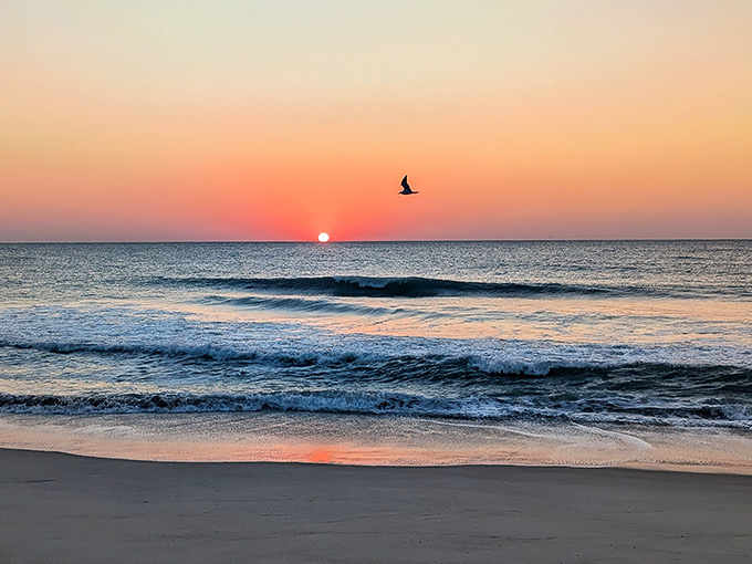 Nature's grand finale at Freeman Park Beach, where sunset paints the sky in impossible hues and seabirds photobomb your perfect moment.