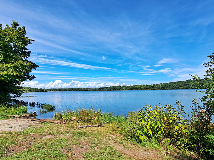 Acton Lake's shoreline offers a moment of perfect tranquility. That impossibly blue water against the golden shore makes you forget deadlines even exist.