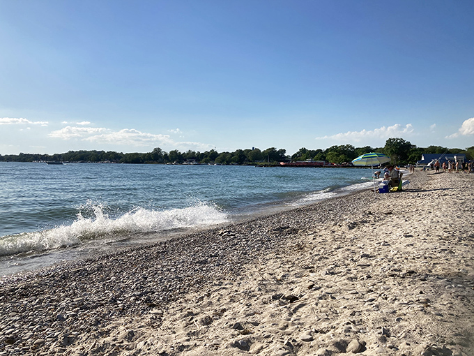 Nature's mosaic meets Lake Erie's gentle waves, creating a symphony of stone and water that changes with every ripple. Pure Great Lakes magic. 