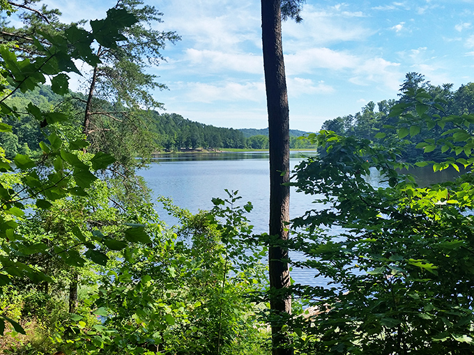 Through the trees, Lake Hope reveals itself like nature's best-kept secret finally ready to share.