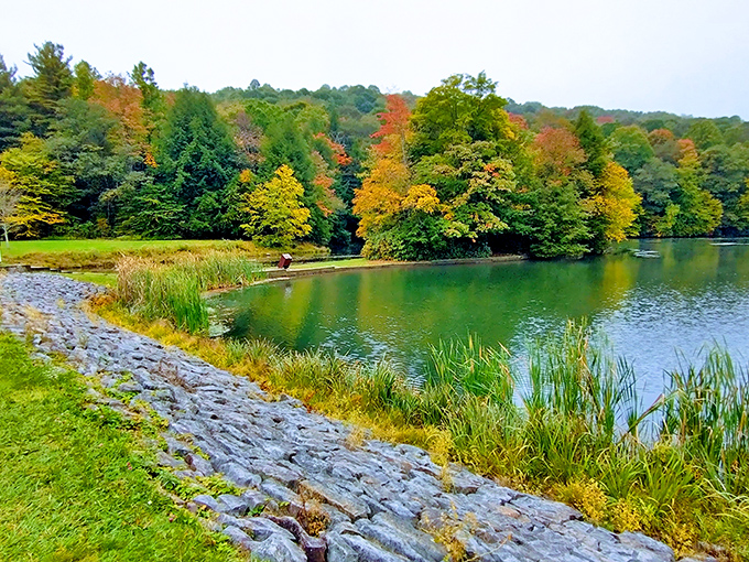 Nature's color palette on full display! Kooser Lake's emerald waters perfectly mirror the autumn foliage, creating a double dose of Pennsylvania's seasonal splendor.