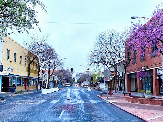 Downtown Visalia blends small-town charm with urban amenities, where tree-lined streets invite leisurely strolls past historic brick buildings.