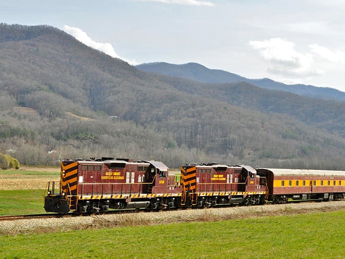 The maroon and yellow engines cut through verdant valleys like time travelers, connecting us to an era when life moved at the pace of steel on rails.