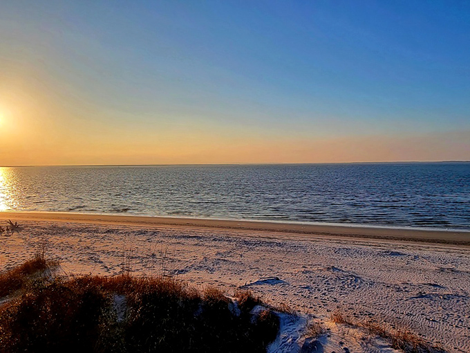 Mother Nature's own art gallery where golden sands meet weathered driftwood. The Atlantic whispers secrets to anyone patient enough to listen.