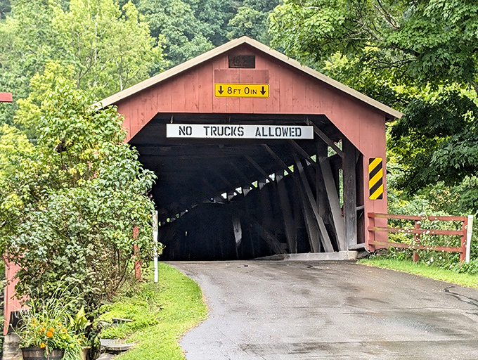 The crimson sentinel stands guard over Loyalsock Creek, its "NO TRUCKS ALLOWED" sign a polite way of saying "horse-drawn carriages preferred."