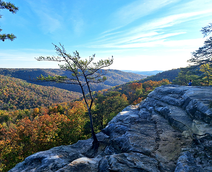 Morning mist weaves through the Cumberland Plateau valleys like nature's own special effect. The view that makes you forget your phone exists.