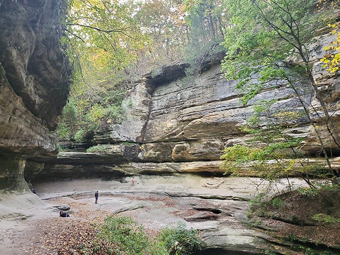 The main event: LaSalle Canyon's waterfall puts on a show that makes you wonder why anyone bothers with screensavers when this natural masterpiece exists.