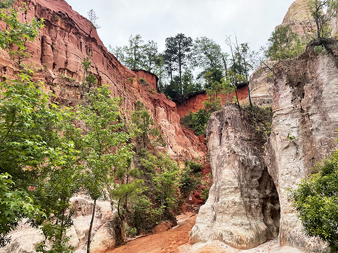 Nature's masterpiece unfolds in layers of red, white, and orange sediment that defy Georgia geography.