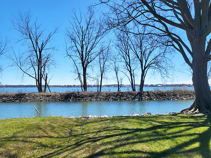 Bare winter trees stand sentinel along the water's edge, their reflection creating nature's perfect symmetry. Lake Erie's quiet beauty shines even in the off-season.