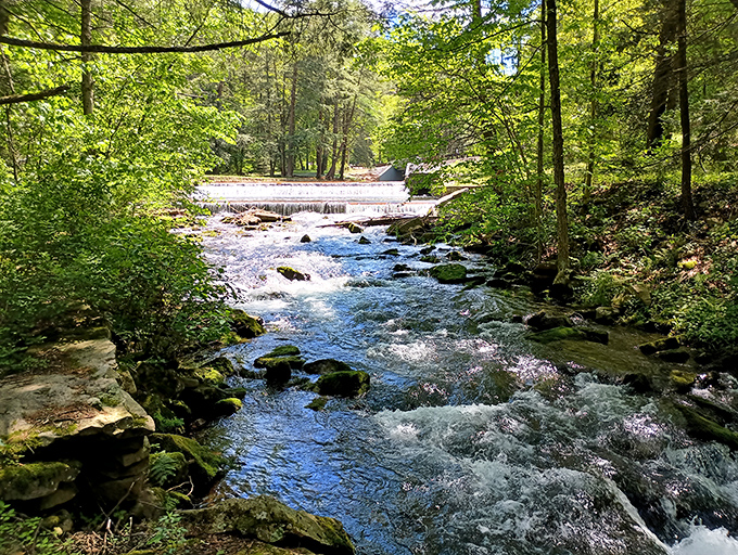 Nature's perfect postcard moment: the historic CCC-built dam creates a waterfall that seems to whisper, "Put down your phone and stay awhile."